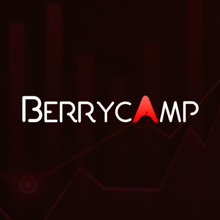 Tráfego Pago - Berry Camp